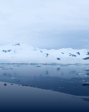 antarctic cruises